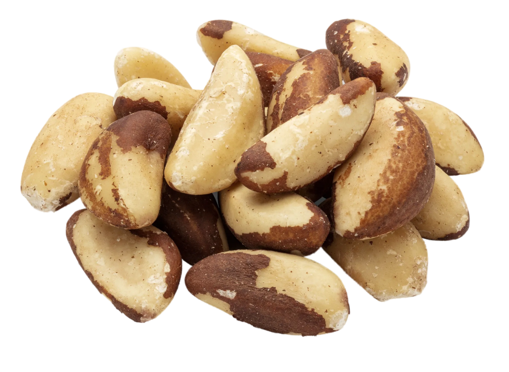 Organic Brazil Nuts – Sahara Foods UK