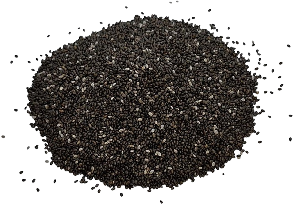 Buy Wholesale Organic Chia Seeds in Bulk - Sahara Foods UK