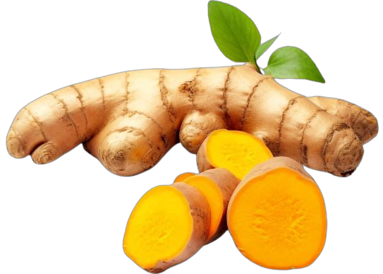 Buy Wholesale Organic Spices in Bulk - Sahara Foods UK