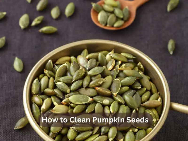 How to Clean Pumpkin Seeds | Easy Guide & Recipes - Sahara Foods UK