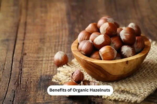 What Are The Benefits of Organic Hazelnuts? - Sahara Foods UK